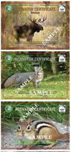 What Are Storm Chips? - Atlantic Canada's Strange Tradition