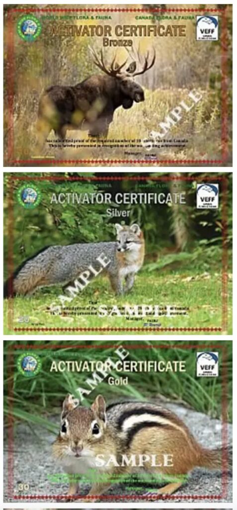 What Are Storm Chips? - Atlantic Canada's Strange Tradition